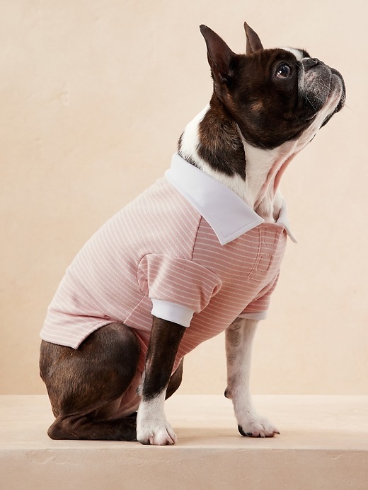 Dog Polo | Banana Republic