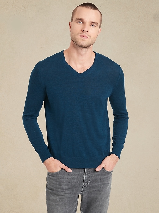 Merino V-Neck Sweater | Banana Republic