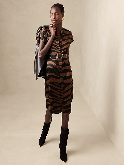 Serenade Silk Shirtdress | Banana Republic