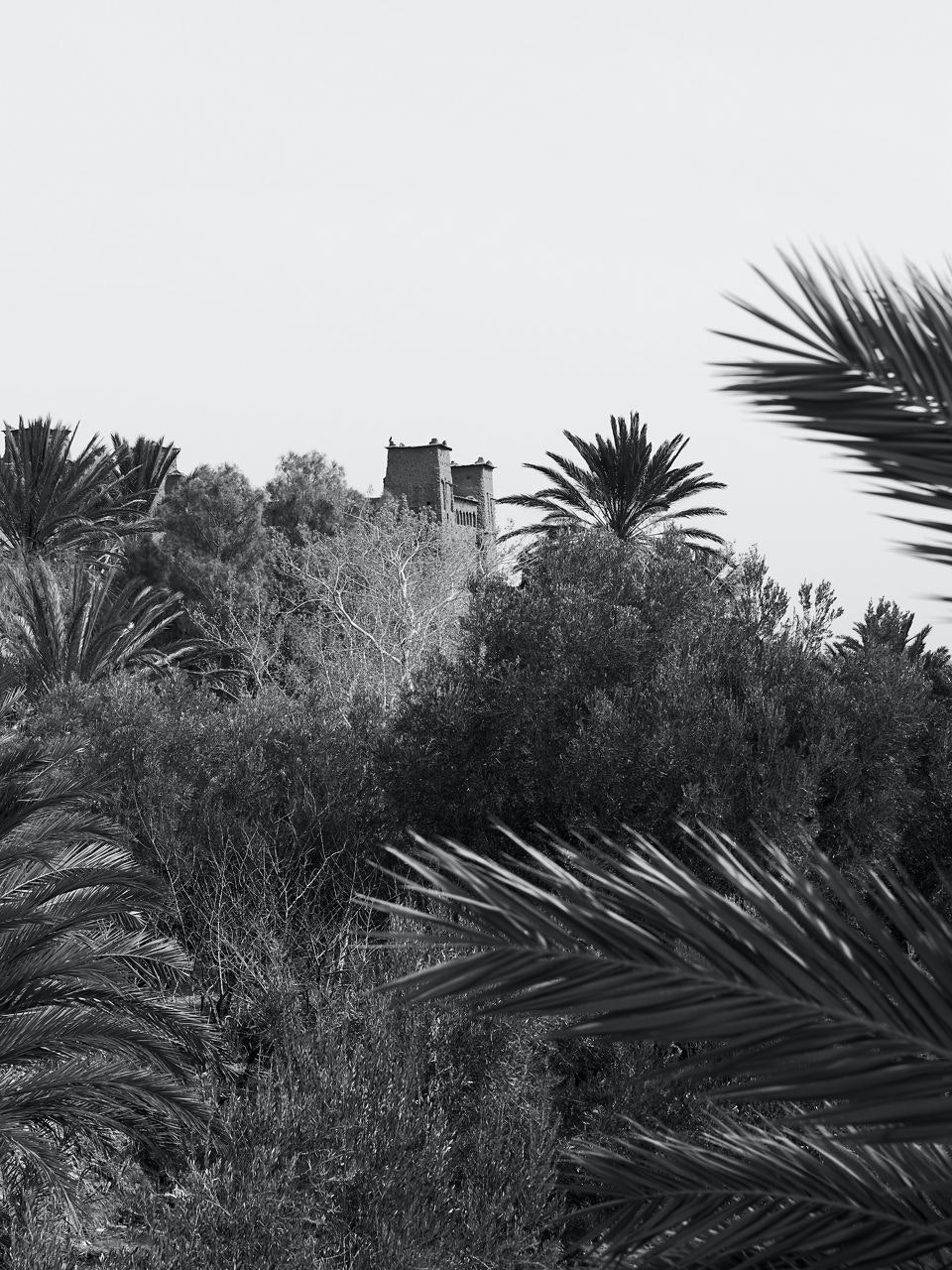 Gateway to Africa 9 by Alex Del Rio | Banana Republic