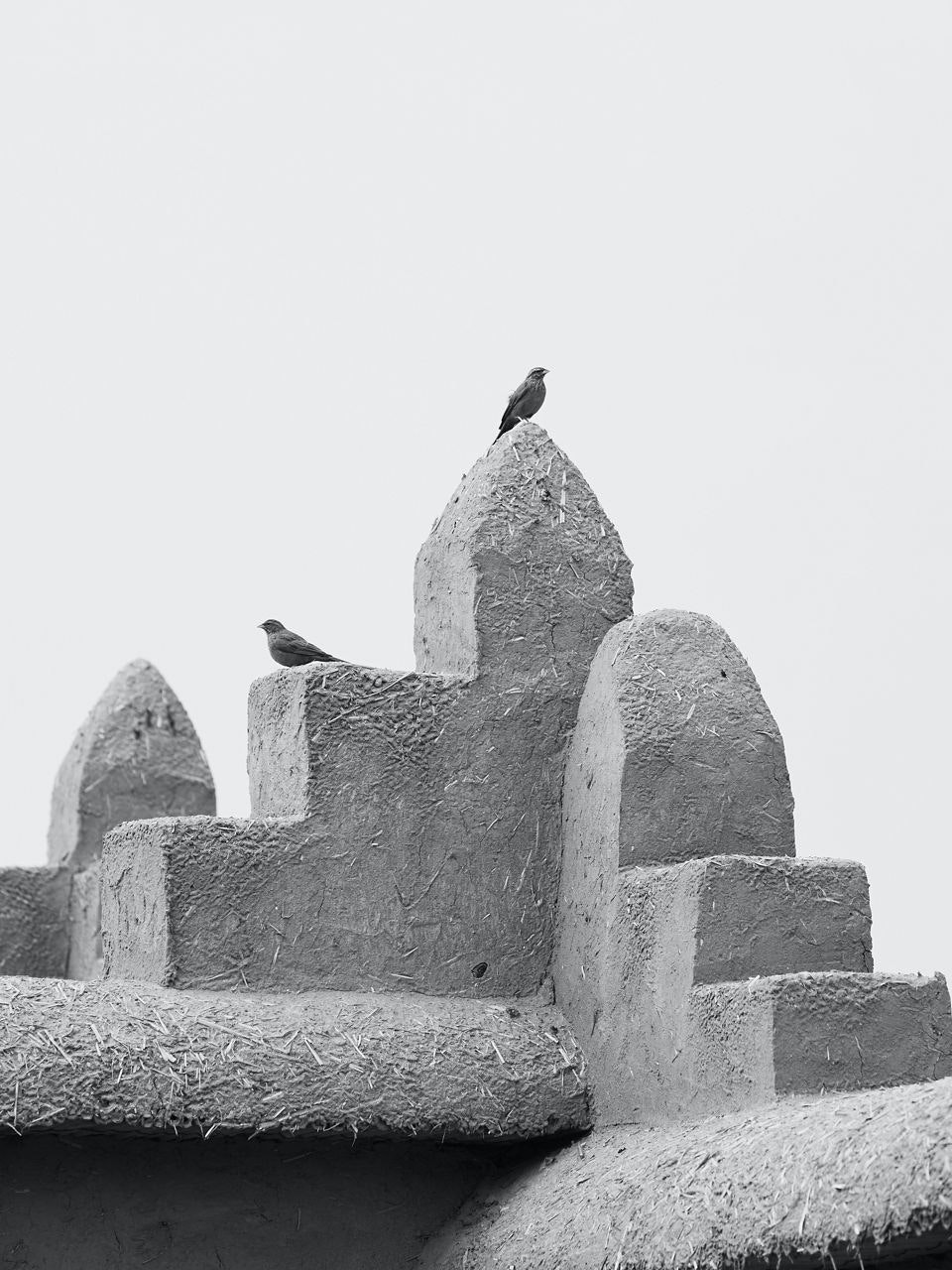 Gateway to Africa 2 by Alex Del Rio | Banana Republic