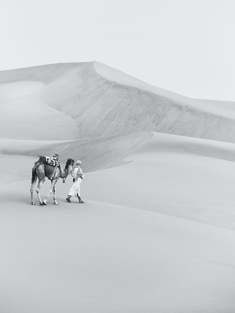 Moroccan Desert 10 by Alex Del Rio | Banana Republic