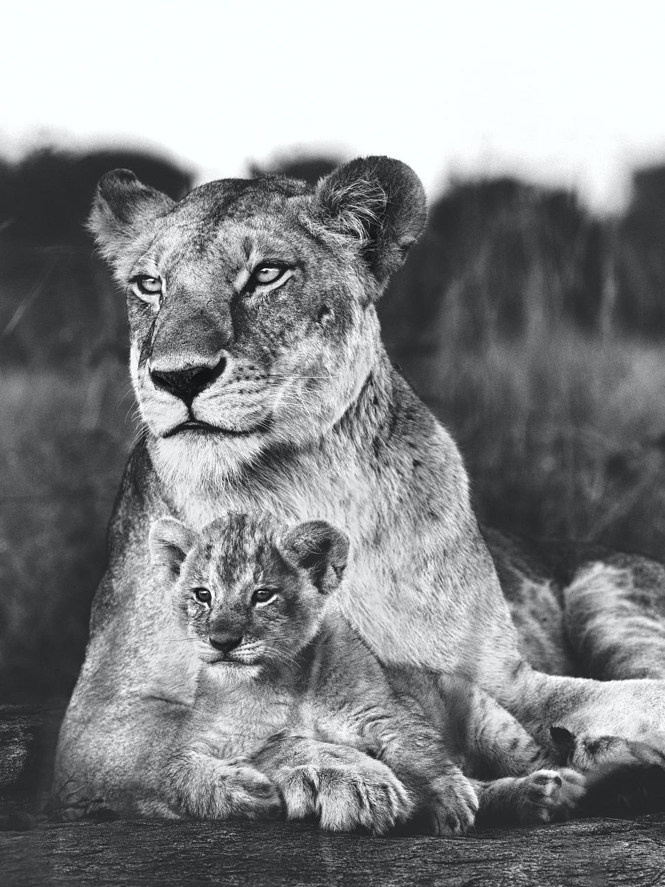 Rest with Confidence by Marina Cano | Banana Republic