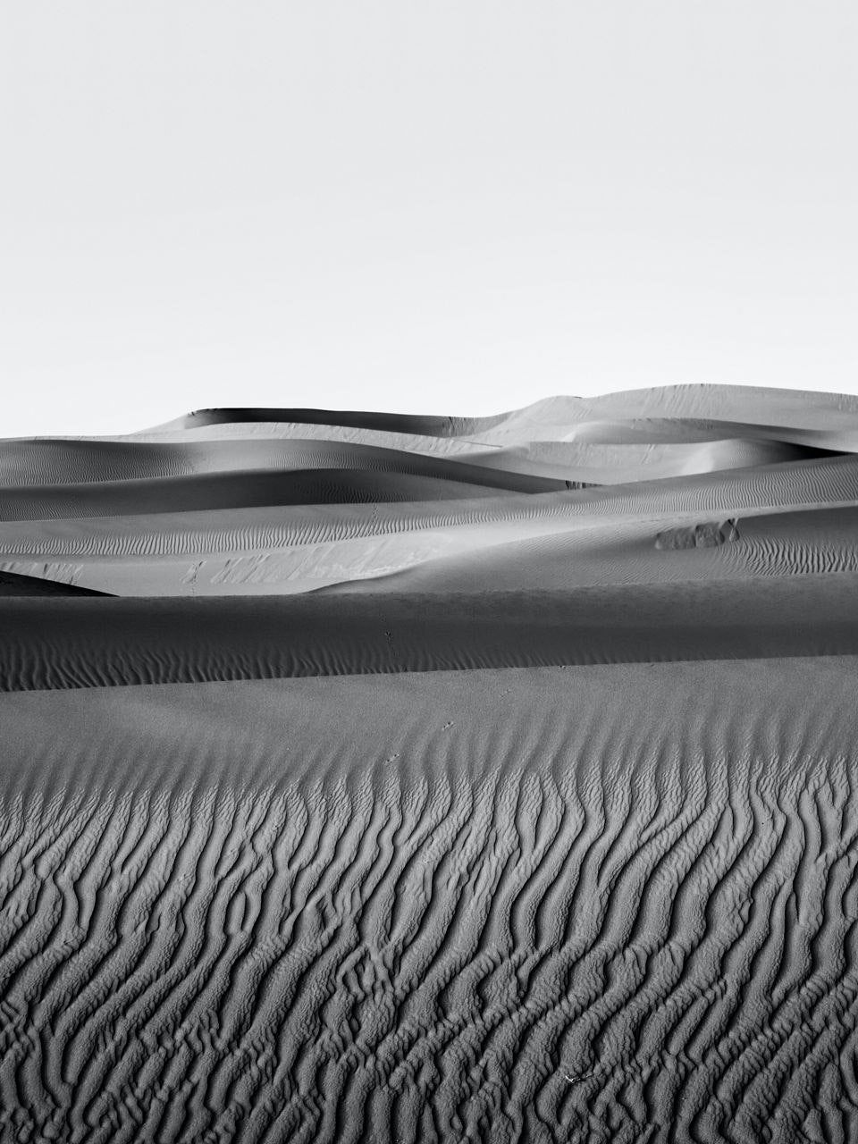 Sahara Desert 1 by Alex Del Rio | Banana Republic