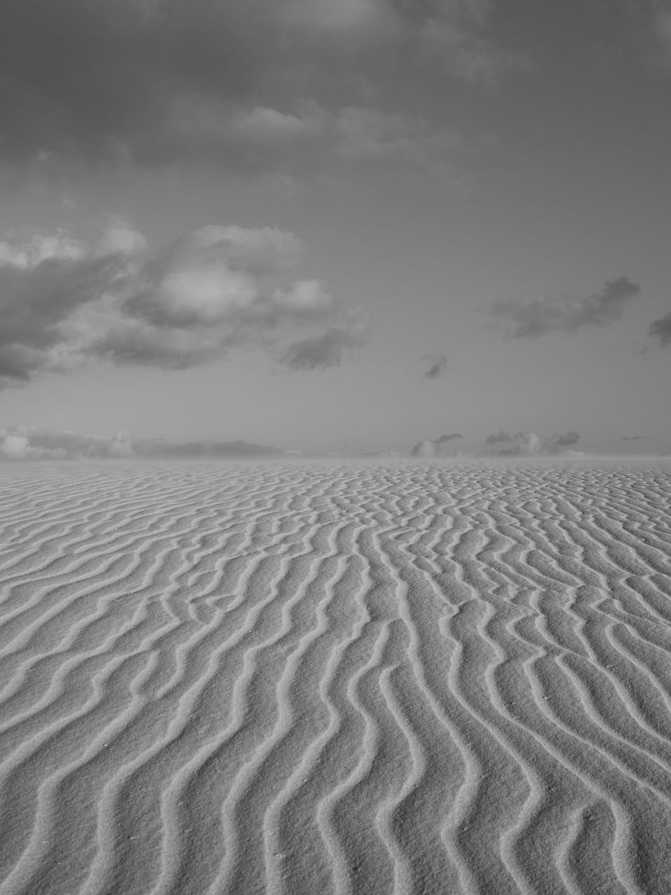 Sahara Desert 12 by Alex Del Rio | Banana Republic