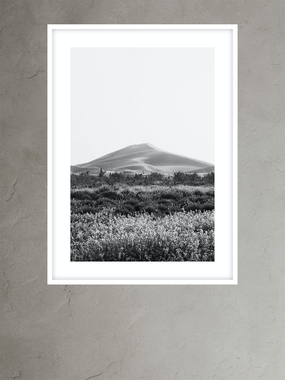 Moroccan Desert 1 by Alex Del Rio | Banana Republic