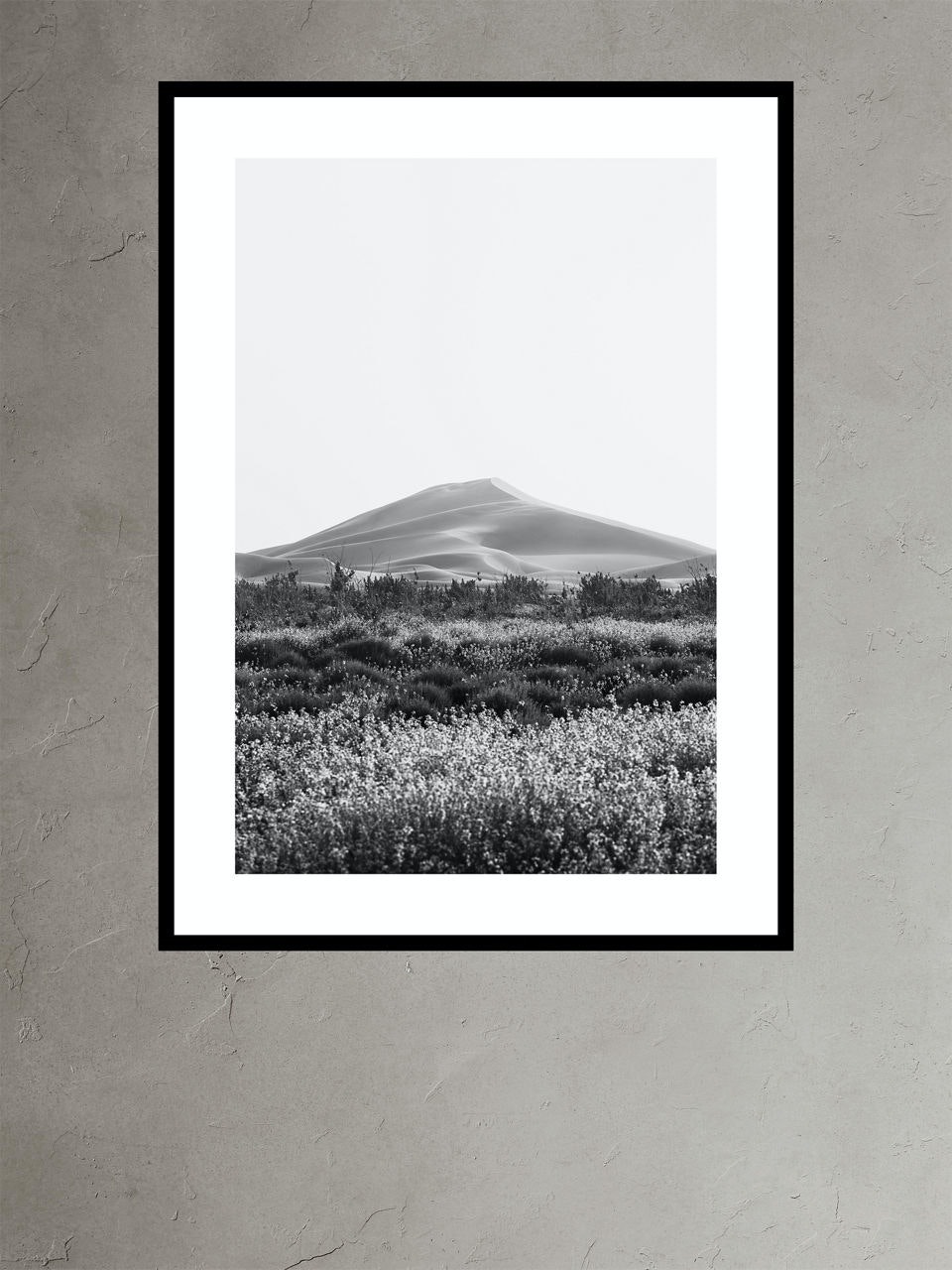 Moroccan Desert 1 by Alex Del Rio | Banana Republic