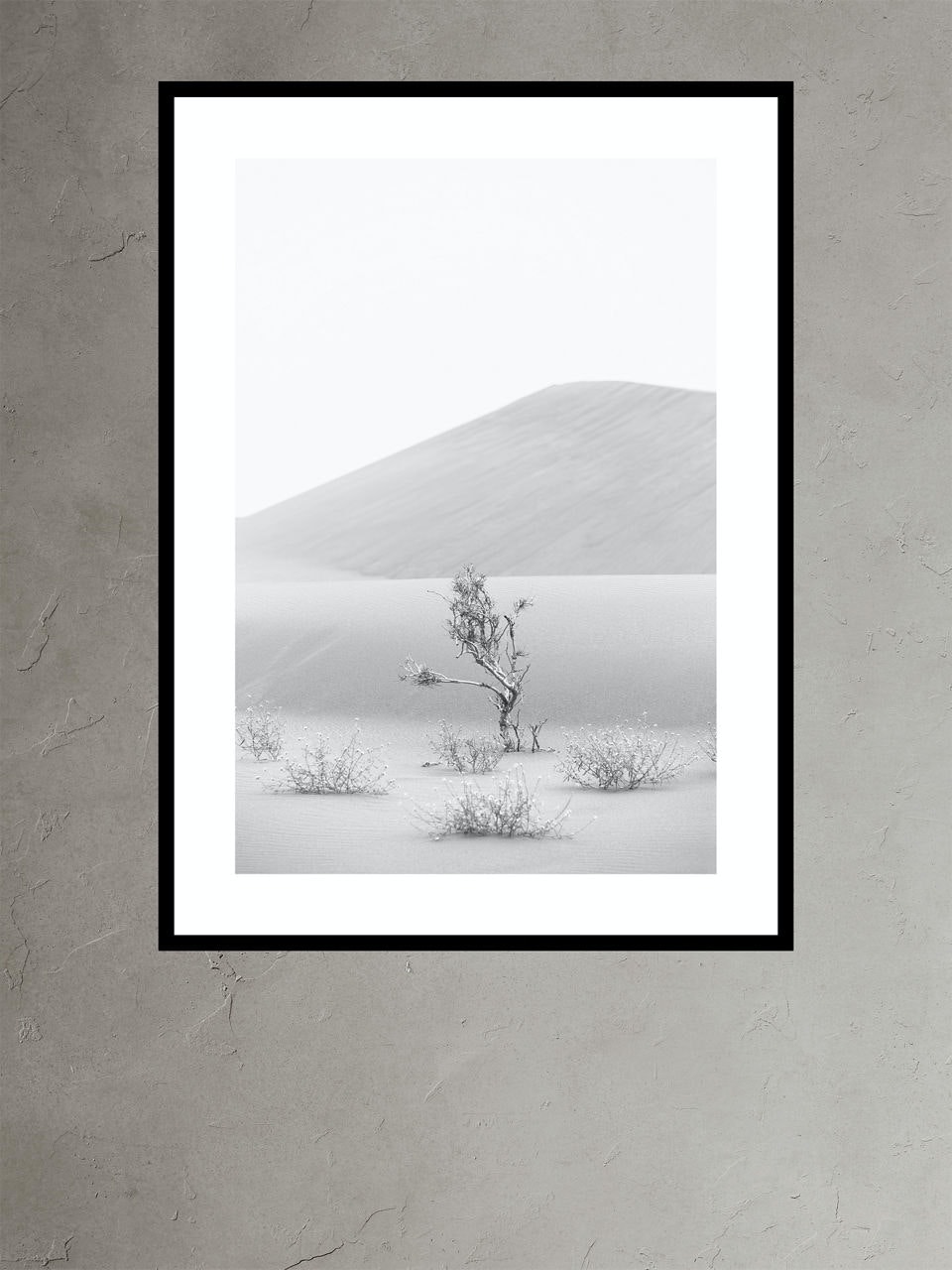 Moroccan Desert 3 by Alex Del Rio | Banana Republic