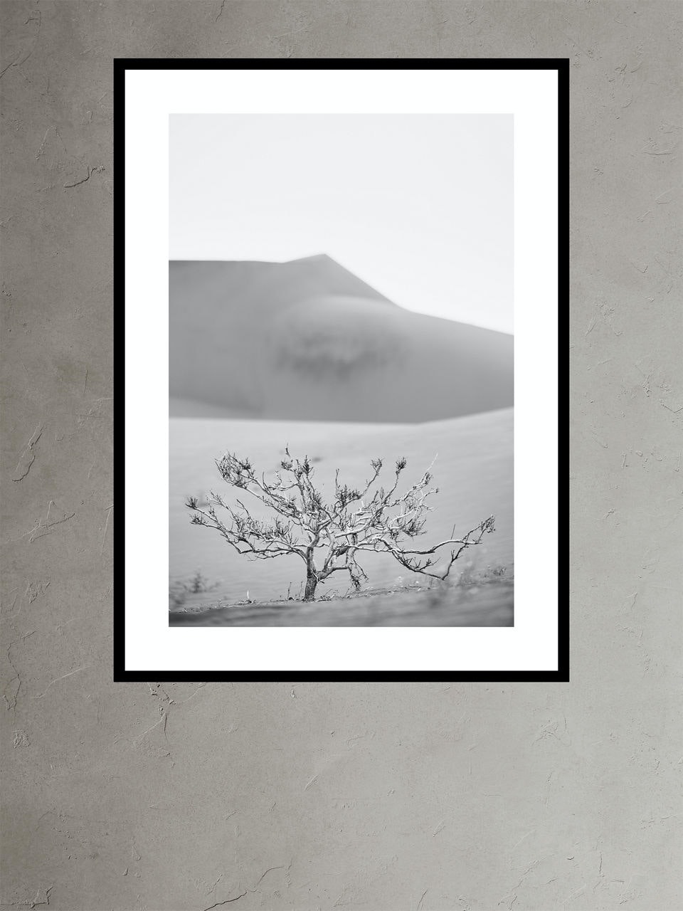 Moroccan Desert 5 by Alex Del Rio | Banana Republic