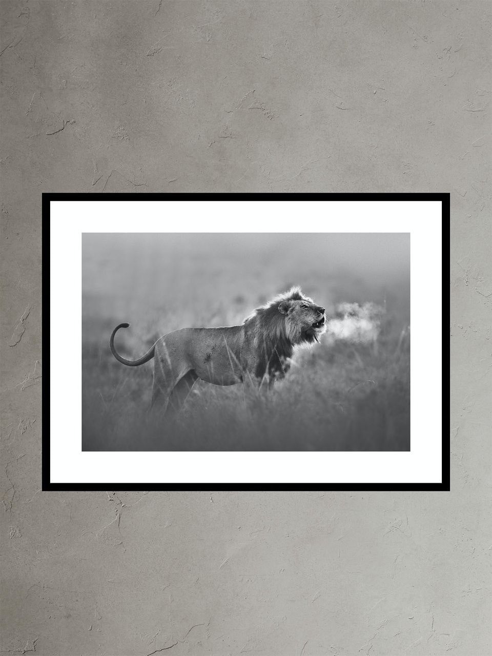 The Calling by Marina Cano | Banana Republic