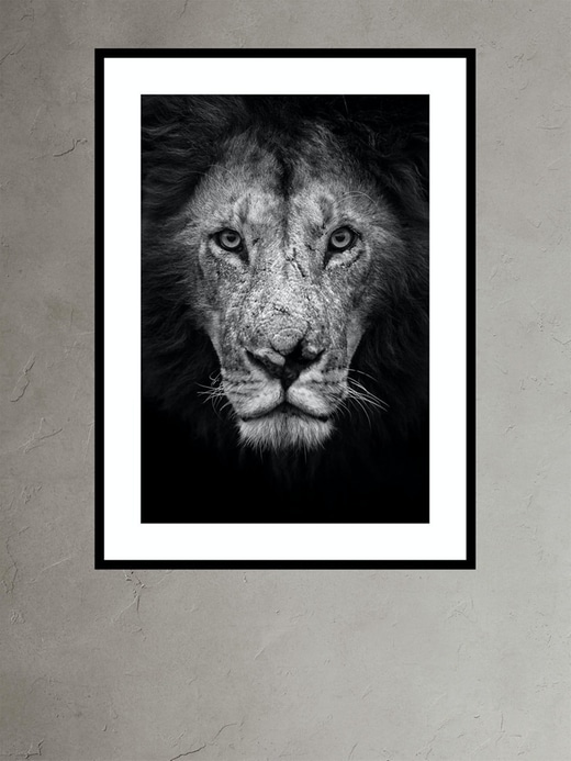 Wild Warrior 2 by Marina Cano | Banana Republic