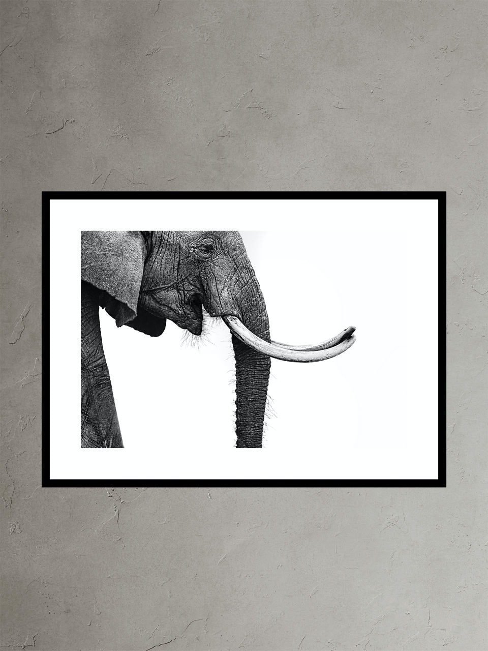 Ivory 1 by Marina Cano | Banana Republic