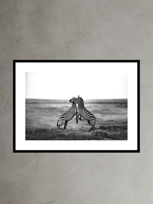 Zebra Dance by Marina Cano | Banana Republic