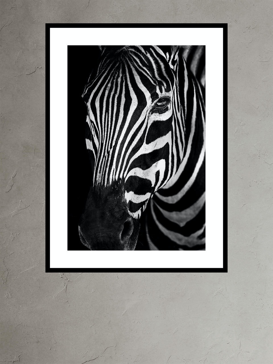 Zebra Portrait 2 by Nathan DeHart | Banana Republic