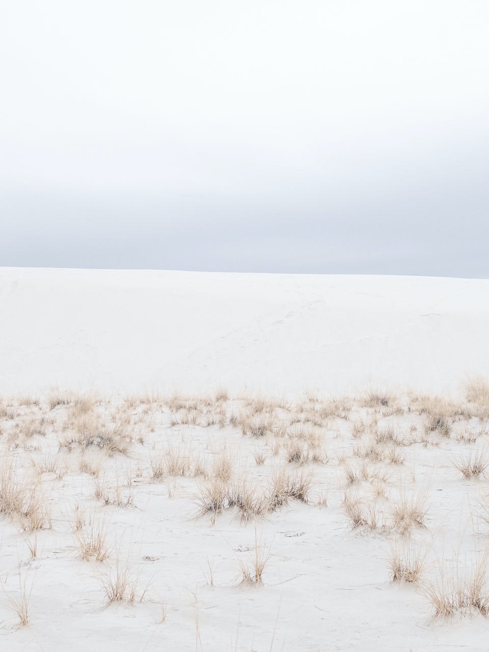 White Sands 6 by Dimitri Staszewski | Banana Republic